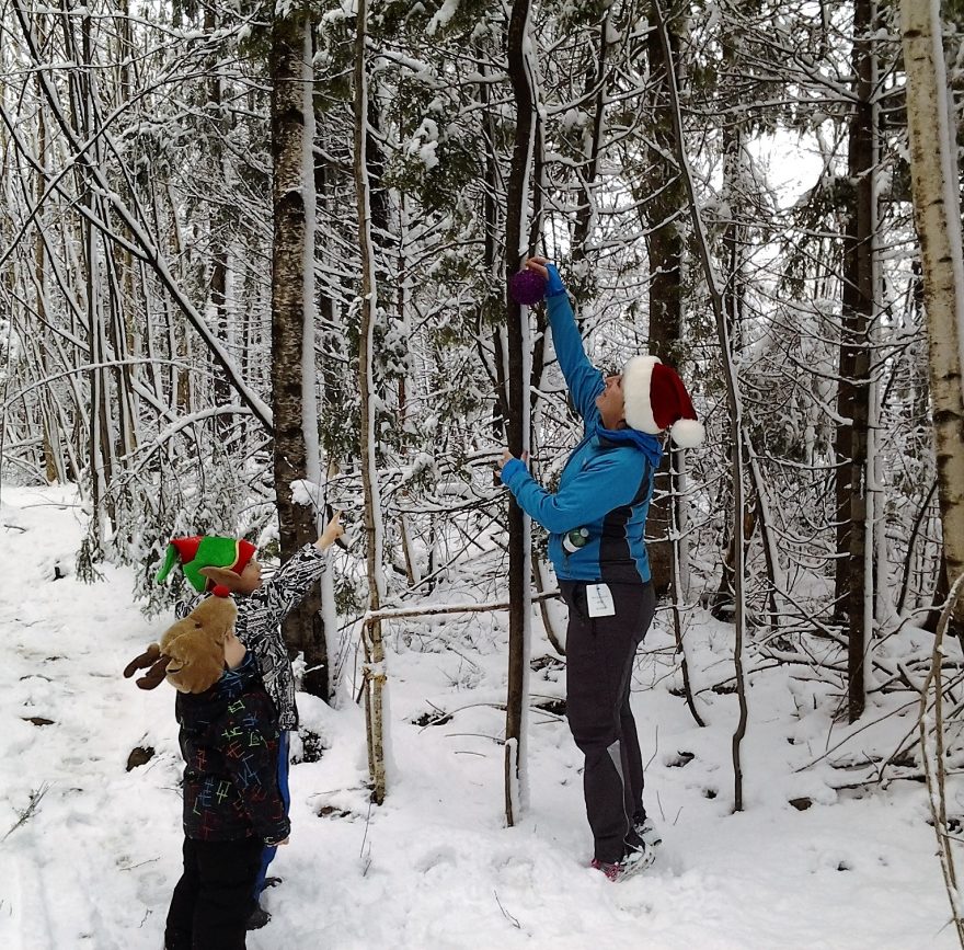 La forêt de Noël : Une tradition magique | Maïka
