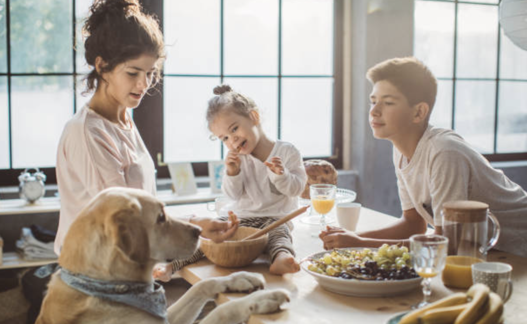 Notre « chez‑nous » | Maïka